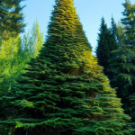 Splatoon Name Generator – (THE ULTIMATE GENERATOR) – SlickSpring